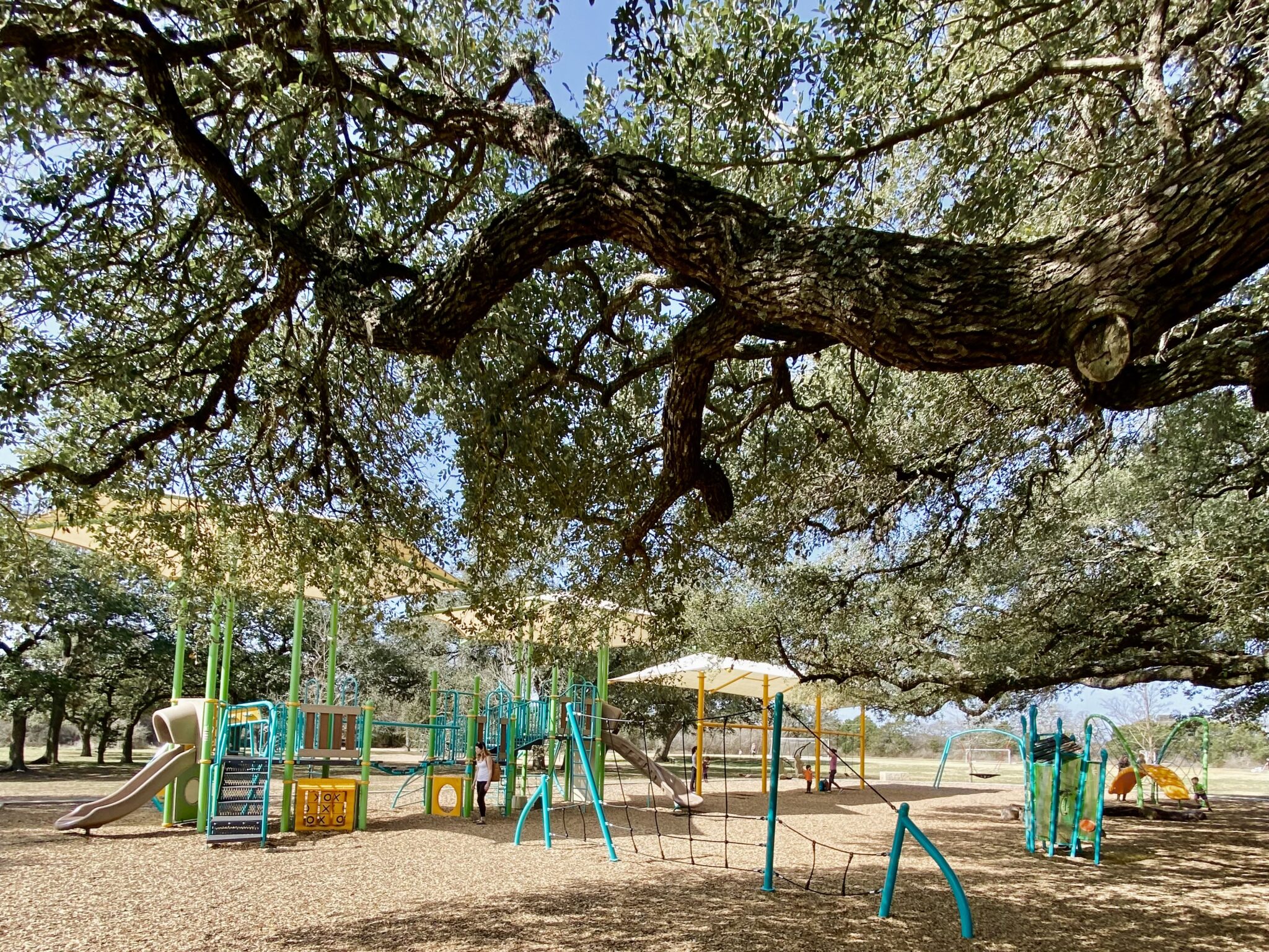 The Best Playgrounds In Austin (With Parking Info!) | The Austin Things