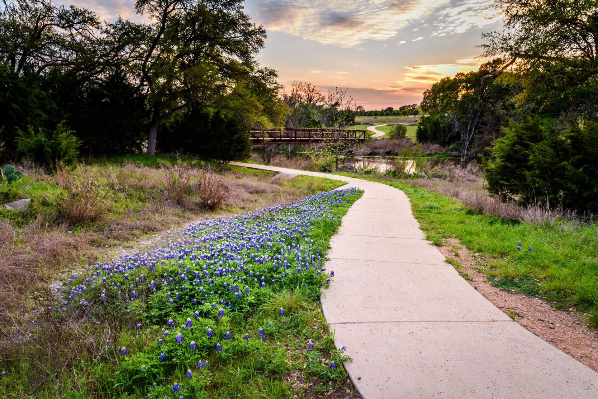 14 Places To Go Trail Running In Austin | The Austin Things