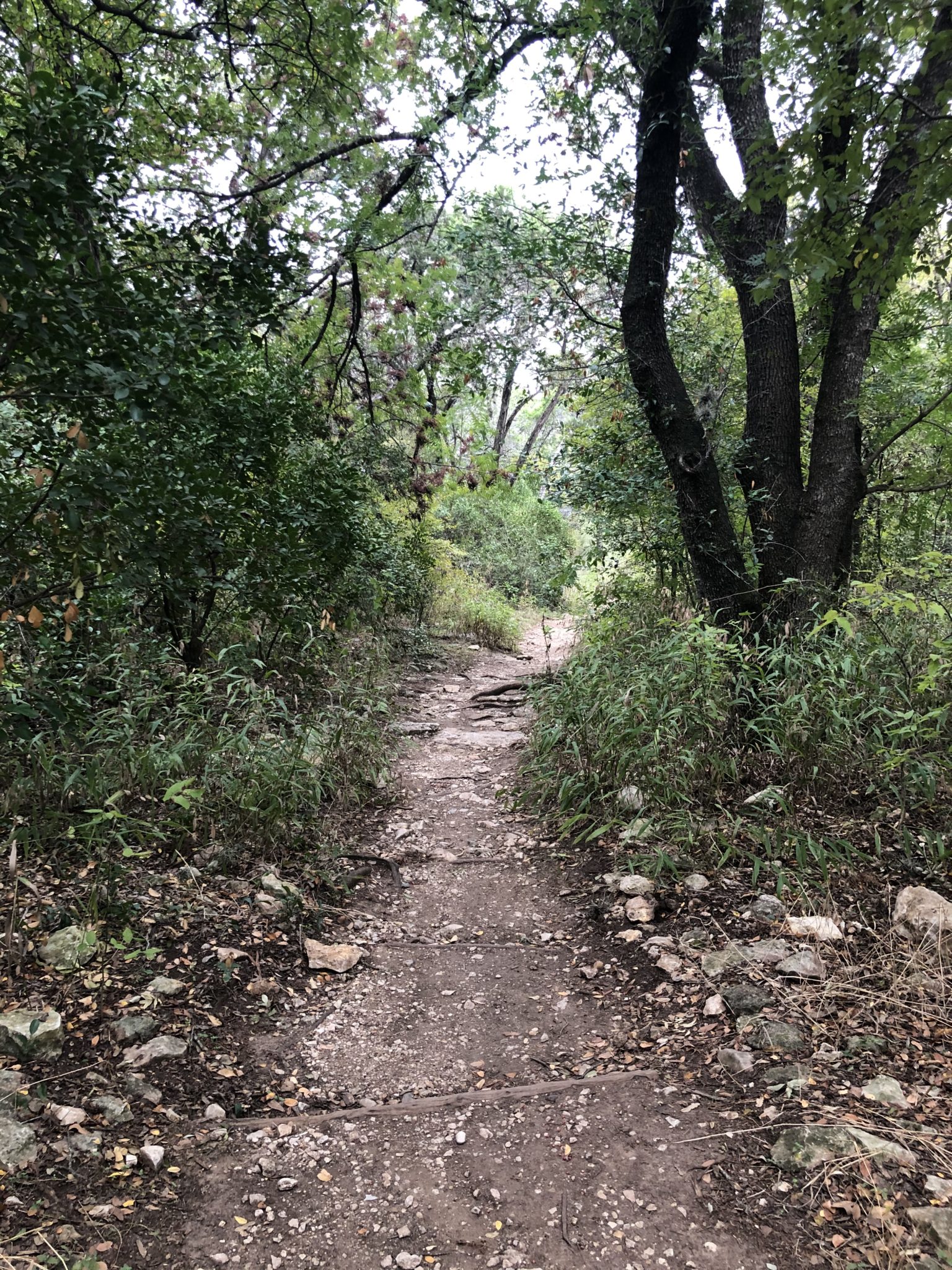 14 Places To Go Trail Running In Austin | The Austin Things