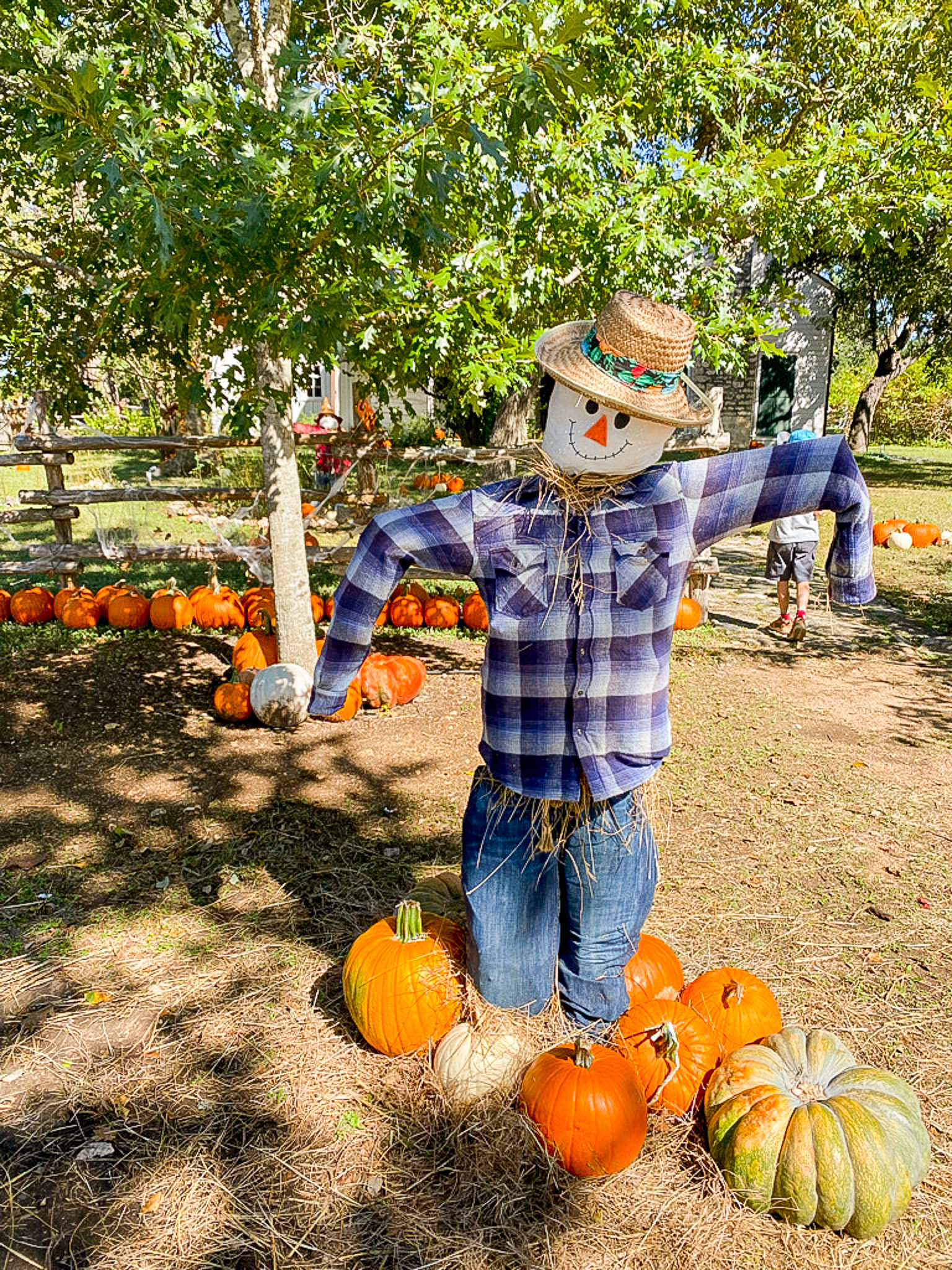 Things To Do In The Fall In Austin: Your Autumn Bucket List | The ...
