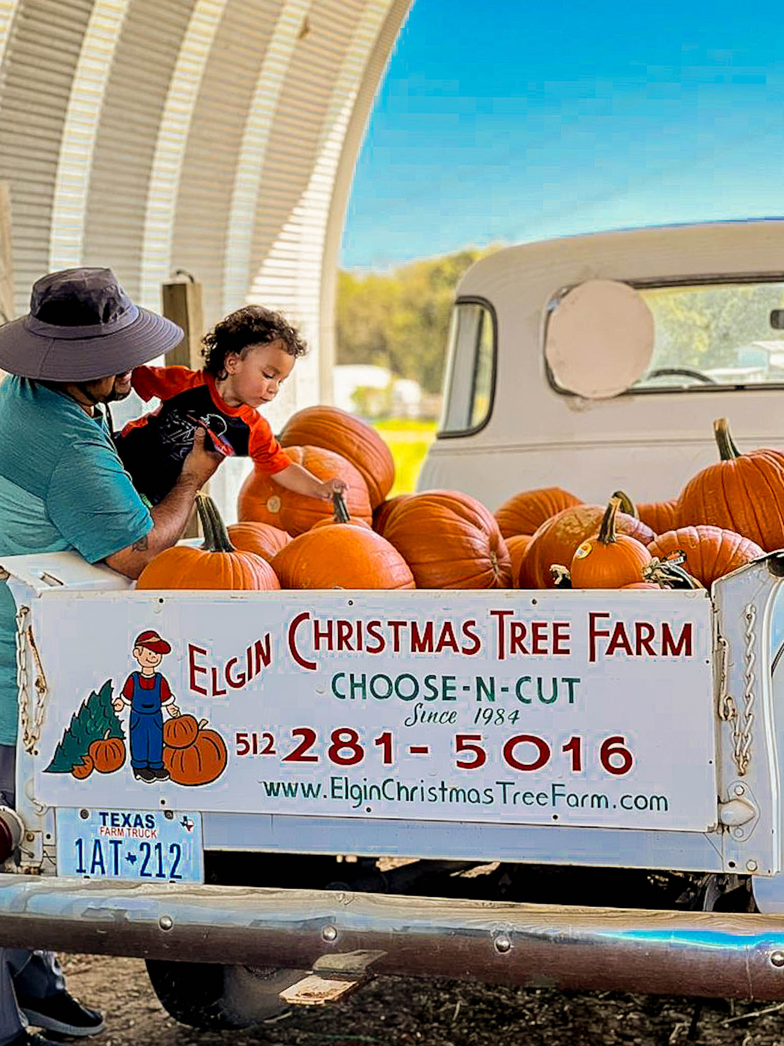 Best Pumpkin Patches In Austin (2024) | The Austin Things