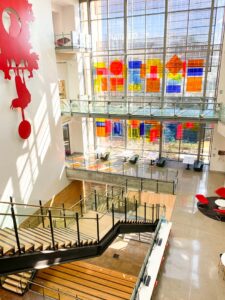 The Coolest Public Libraries In Austin | The Austin Things