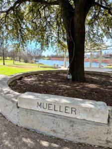 A Guide To Mueller Lake Park in Austin Texas | The Austin Things