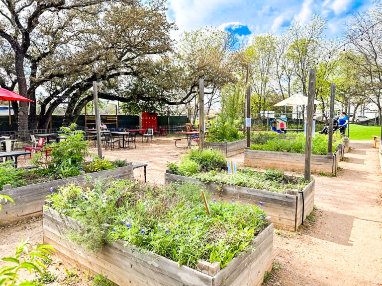 A List Of All The Bars on Menchaca Road (Ranked) | The Austin Things