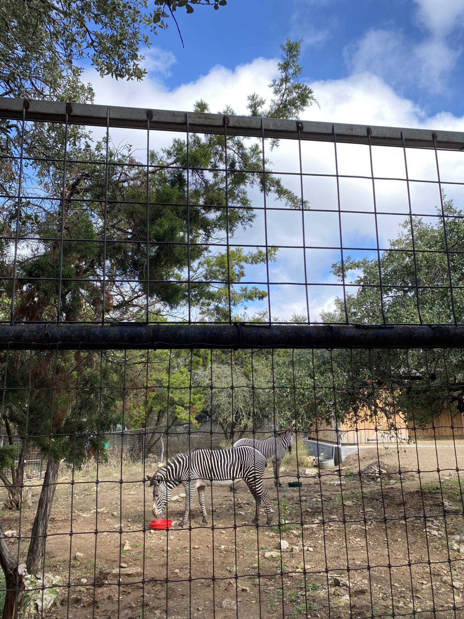 55 Fun Things To Do In Austin With Kids (2024) | The Austin Things