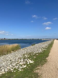 Where To Find Beaches In Austin | The Austin Things