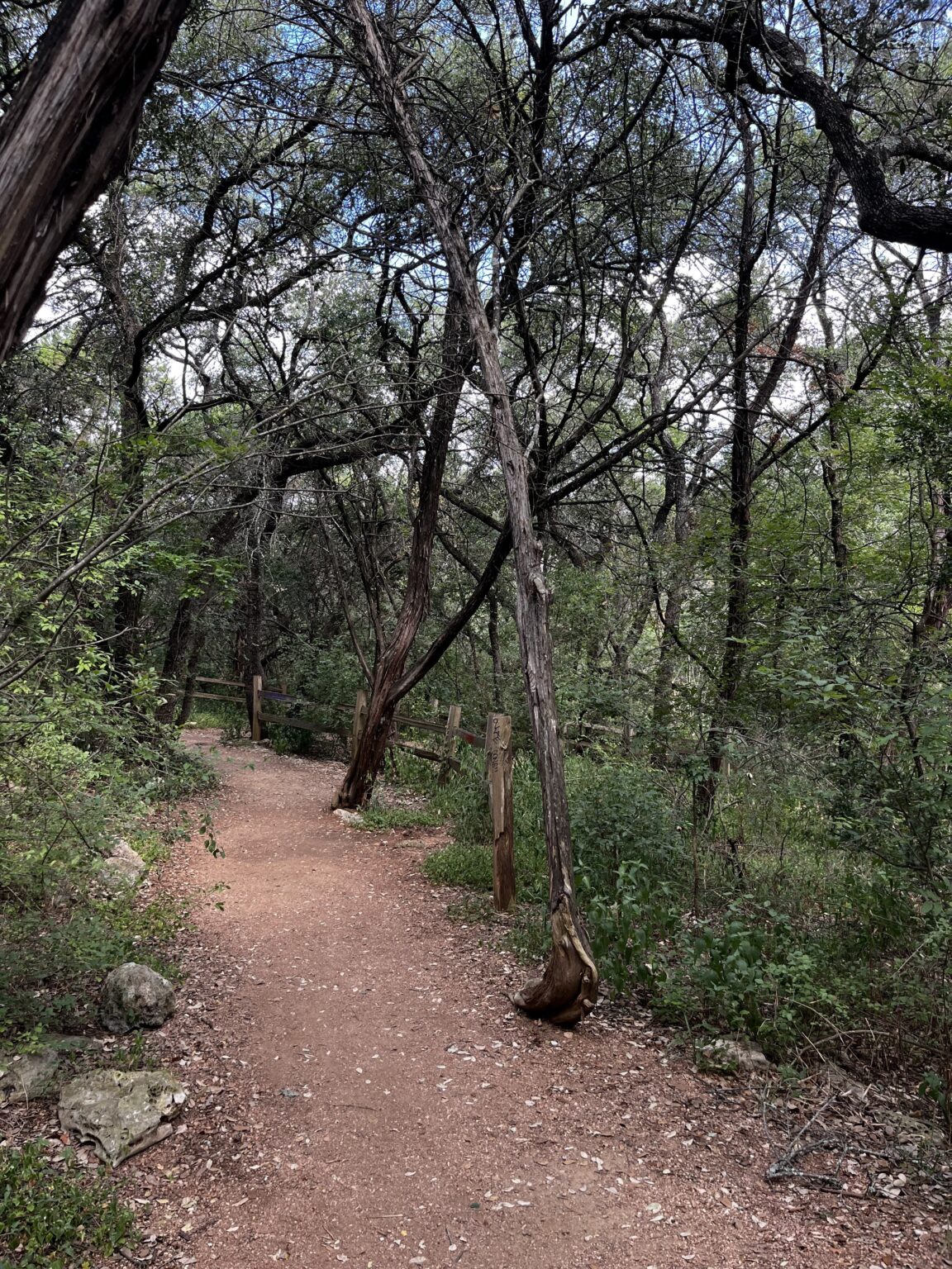 A Beginner’s Guide To The Austin Greenbelt | The Austin Things