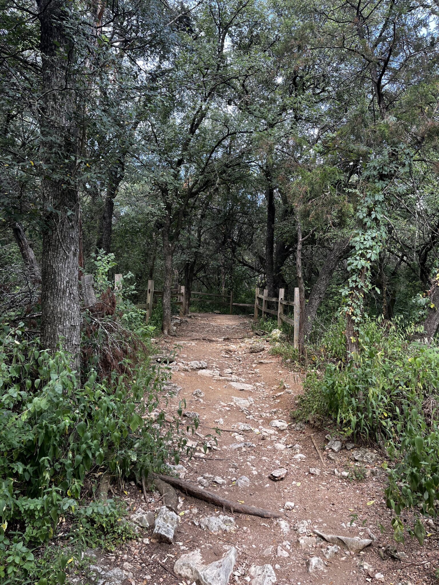 A Beginner’s Guide To The Austin Greenbelt | The Austin Things