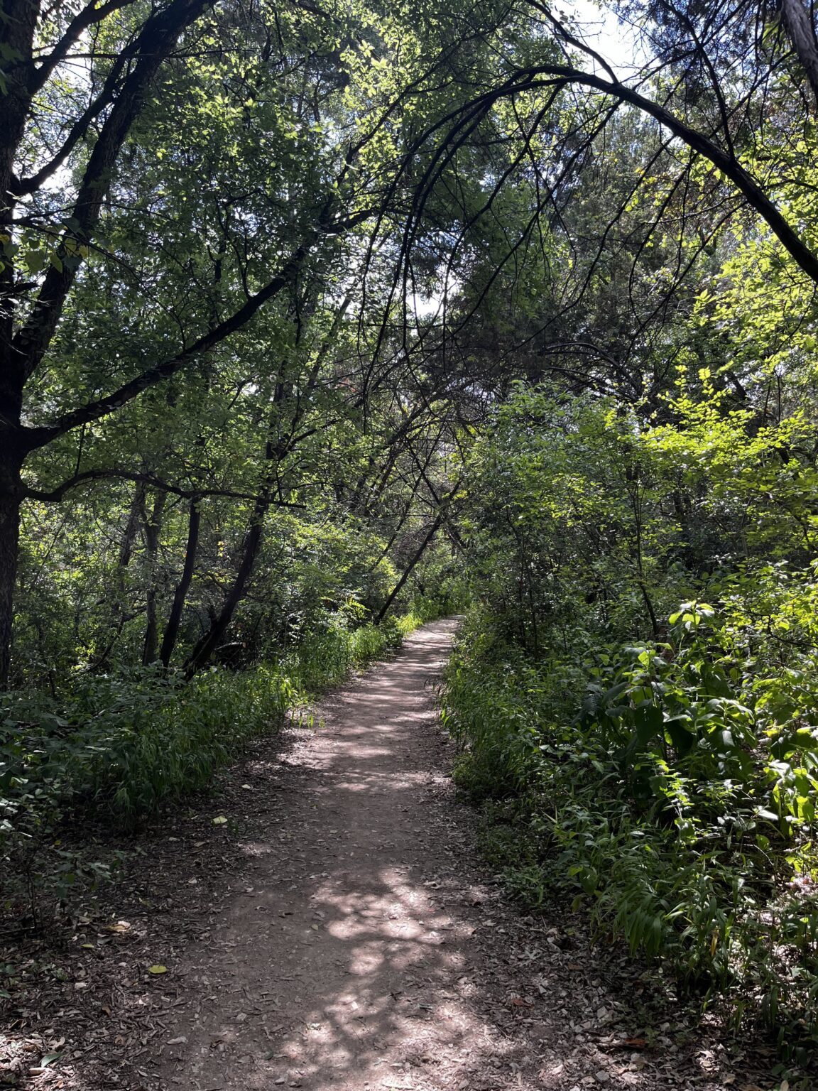 Things To Do In The Fall In Austin: Your Autumn Bucket List | The ...