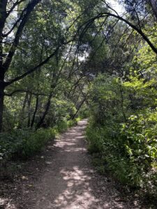 Things To Do In The Fall In Austin: Your Autumn Bucket List | The ...