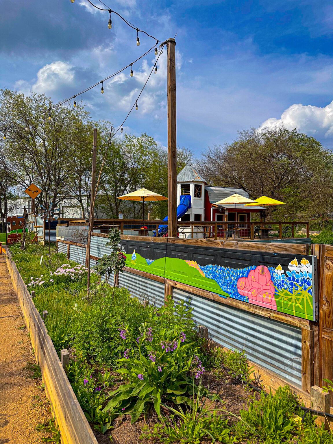25 Coffee Shops In Austin With Playgrounds: A Guide For Parents | The ...