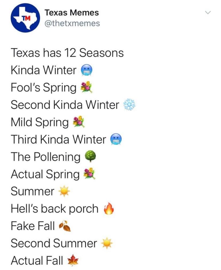 Do Summers Actually Get THAT Hot In Austin Texas?? Thoughts From A ...
