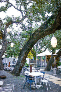 25 Phenomenal South Austin Restaurants | The Austin Things