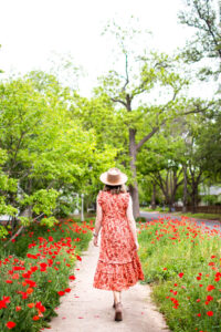 How To See The Poppies In Georgetown Texas | The Austin Things
